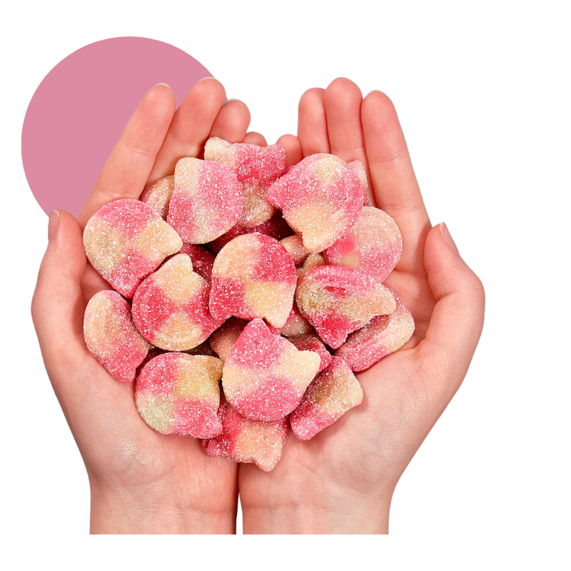 Grocery Wholesalers | Morgan-Williams | Specialty Food Distributor